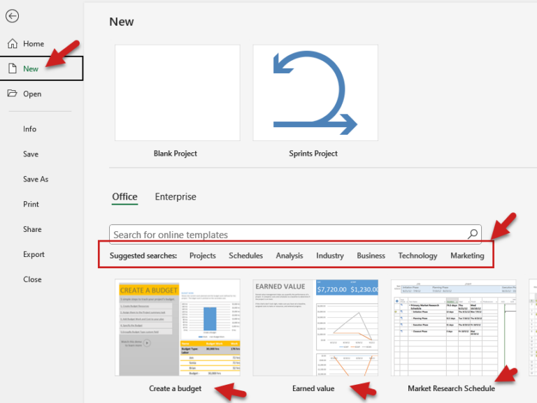 Microsoft Project Templates: Step By Step - Dale Howard MVP